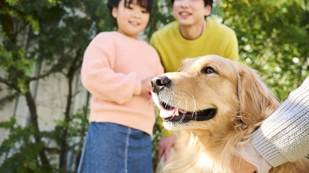 Pet’s Date Night 2025: A Celebration of Furry Friendships